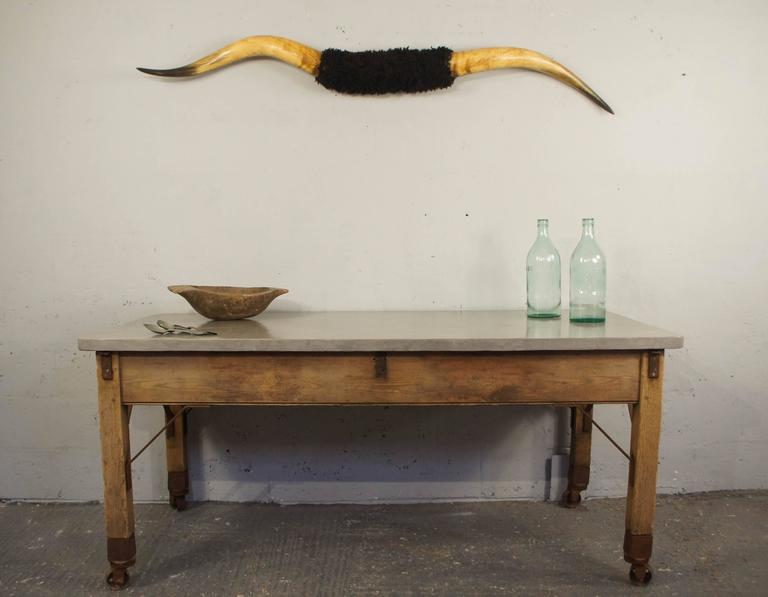Taxidermy Mounted Longhorn Steer Horns For Sale at 1stDibs | steer ...