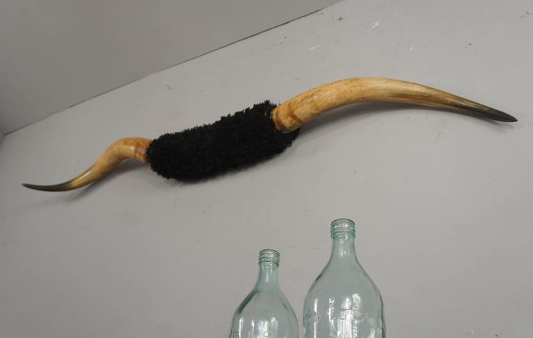 Taxidermy Mounted Longhorn Steer Horns For Sale at 1stDibs | steer ...