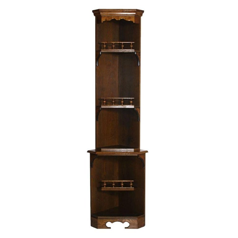 Early 20th Century Renaissance Corner Shelves Cupboard in Solid Oakwood ...
