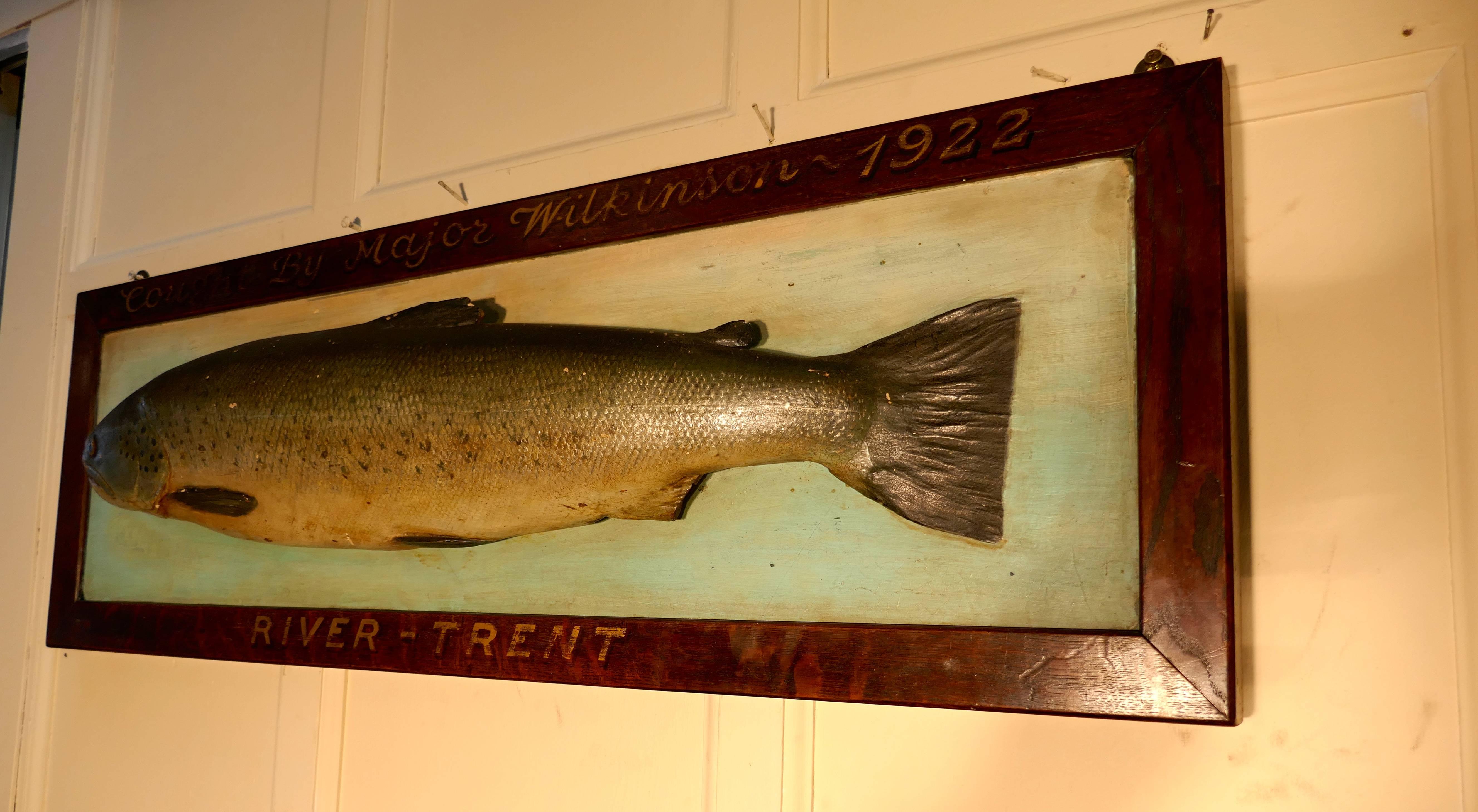 Mounted Taxidermy of a Trout from the River Trent, 1922 at 1stDibs ...