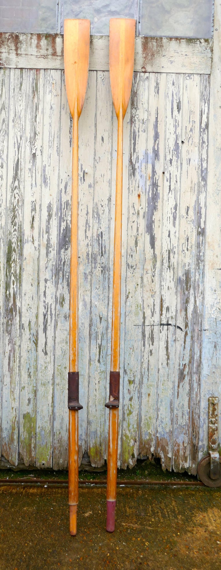 Pair of Decorative Very Long Sculling Oars at 1stDibs