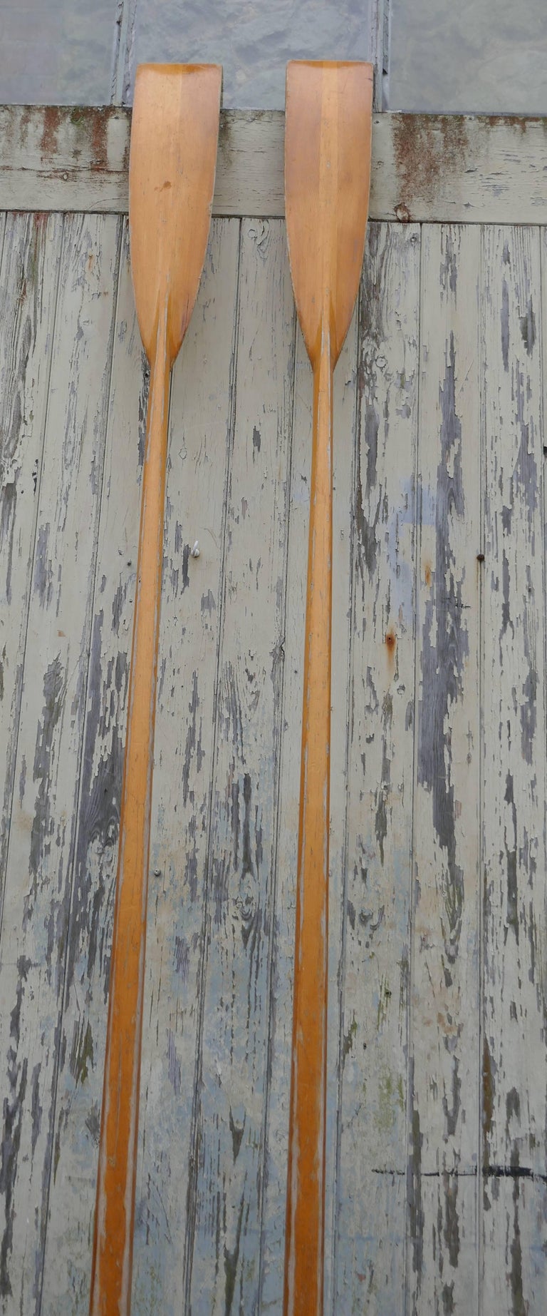 Pair of Decorative Very Long Sculling Oars at 1stDibs