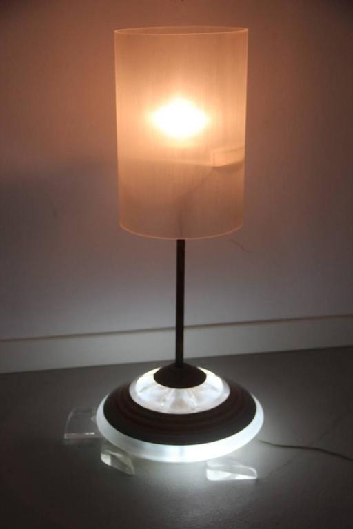 Sculpture Very Particular Table Lamp Shaped like a Turtle in Perspex ...