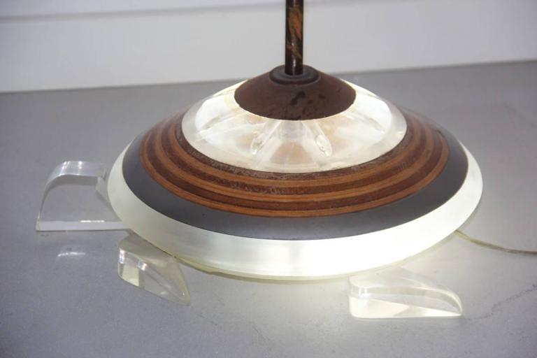 Sculpture Very Particular Table Lamp Shaped like a Turtle in Perspex ...