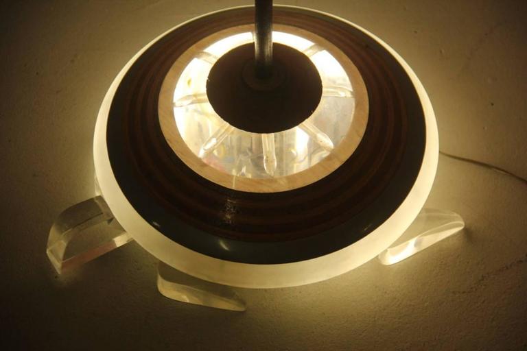 Sculpture Very Particular Table Lamp Shaped like a Turtle in Perspex ...