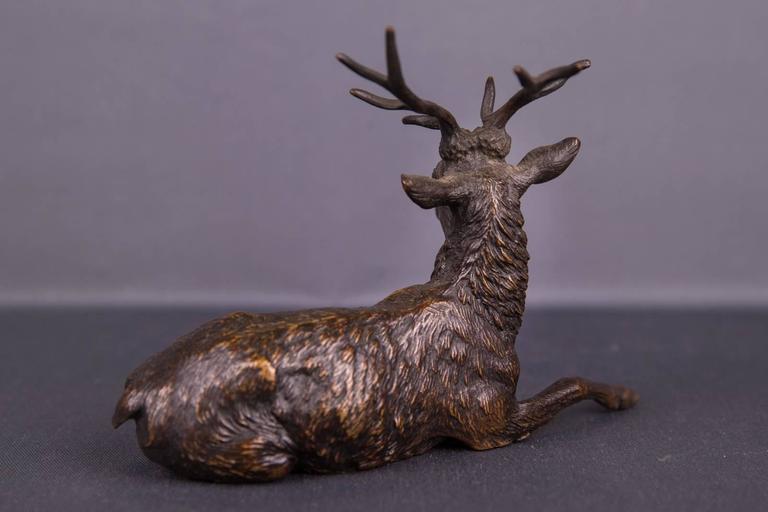 19th Century Antique Bronze Sculpture as a Sitting Stag at 1stDibs ...