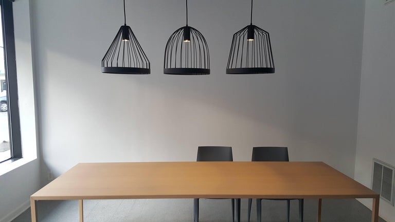 Three UL Contemporary Concealed LED Black Steel Bird Cage Hanging ...