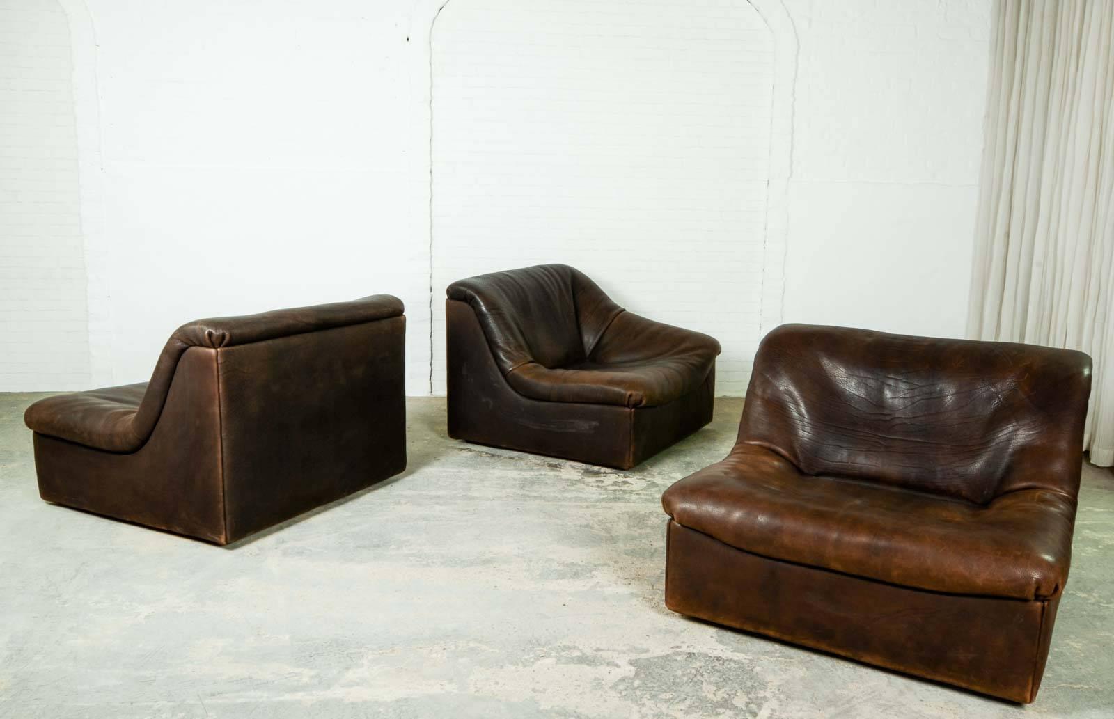 Mid-Century Buffalo Neck Leather Modular Sofa Set DS46 for De Sede at ...