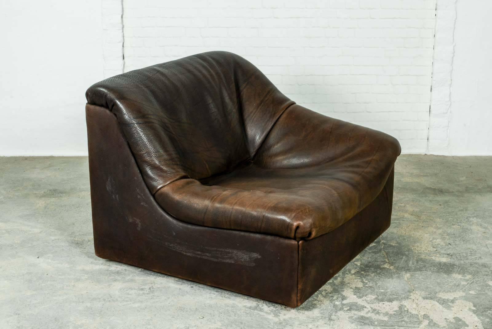 Mid-Century Buffalo Neck Leather Modular Sofa Set DS46 for De Sede at ...