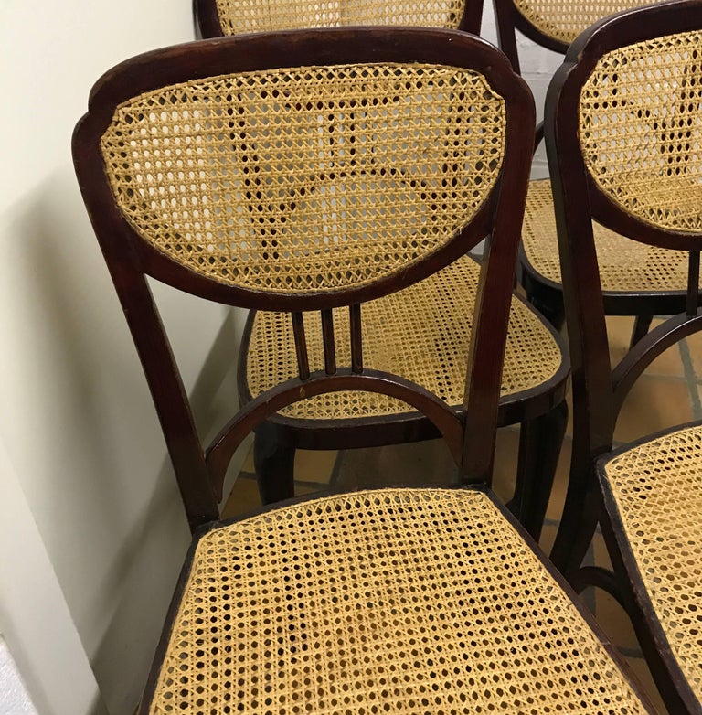 Jugendstil or Art Nouveau Thonet Chairs in Catalogue of 1910 , Set of 4 ...