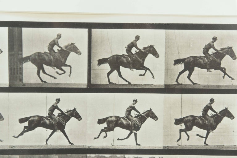 Eadweard Muybridge Photo Print at 1stDibs | eadweard muybridge photos ...