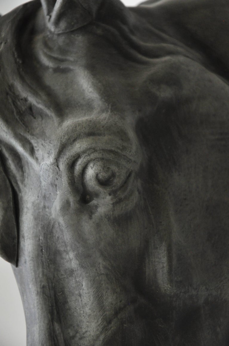 Late 19th Century French Farrier's Horse Head Trade Sign at 1stDibs