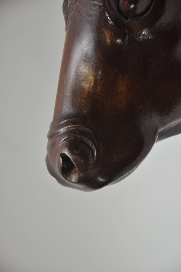 Mahogany Carved Bull Head from a Butchery, circa 1880 For Sale at 1stDibs