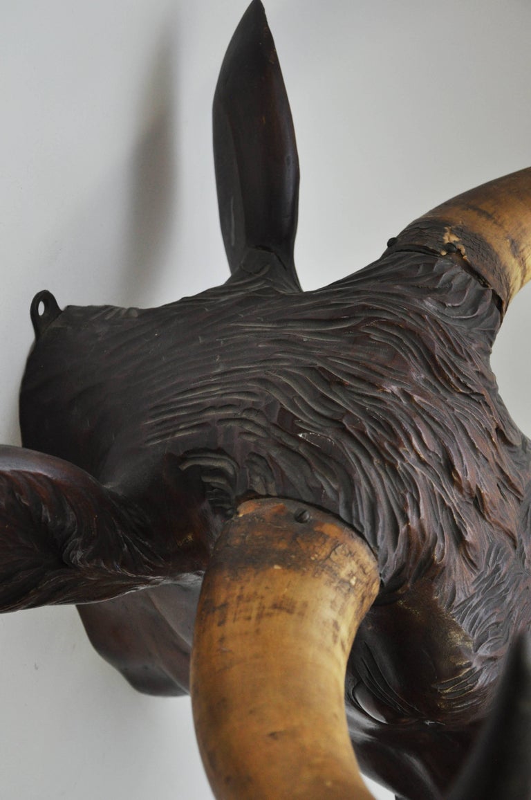 Mahogany Carved Bull Head from a Butchery, circa 1880 For Sale at 1stDibs