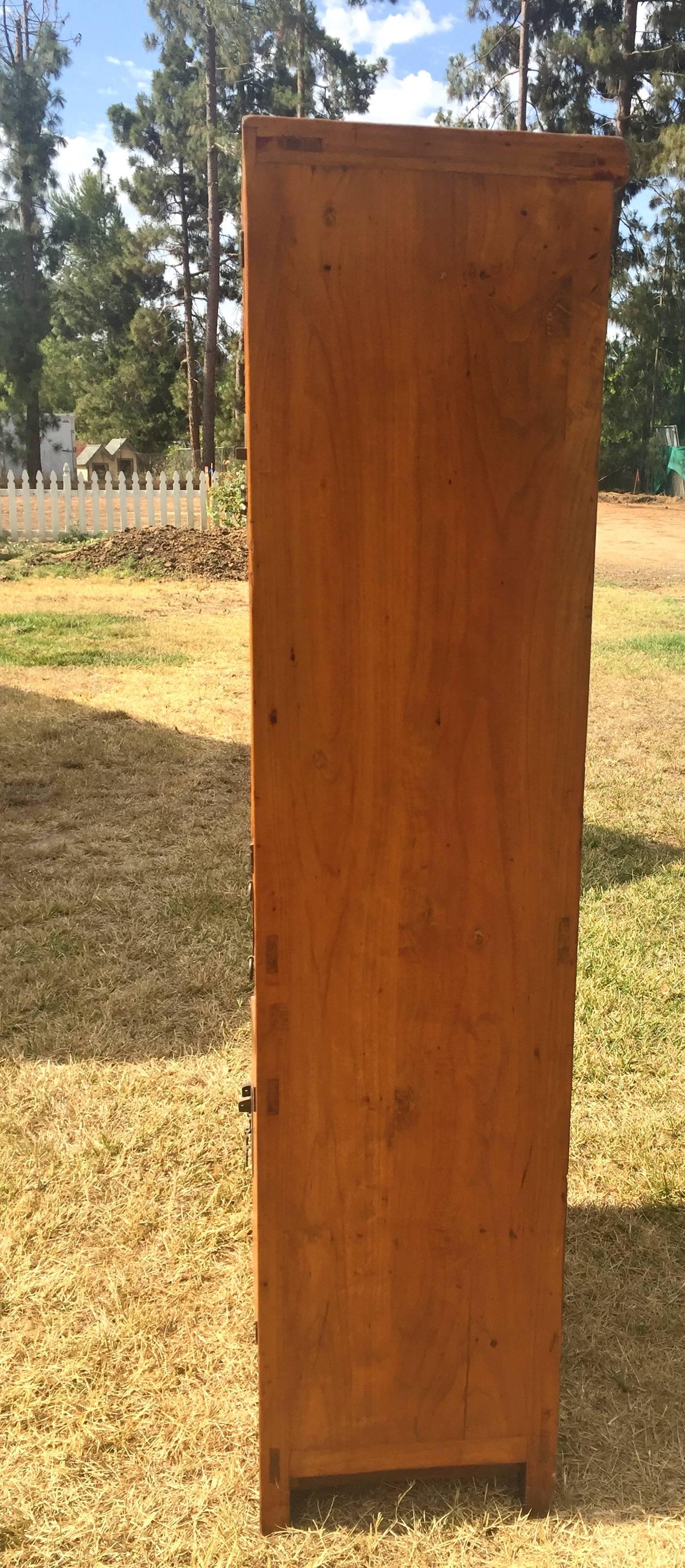 Antique Natural Finish Narrow Chest, Northern Chinese at 1stDibs