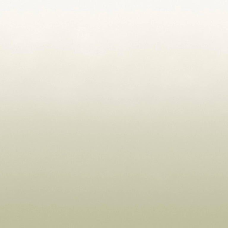 Aurora Moss Wallpaper in Light Green to White Gradient For Sale at 1stDibs