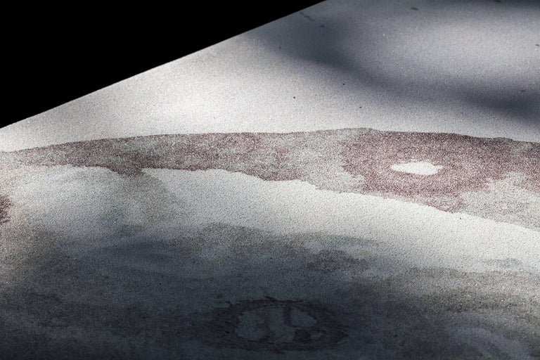BCXSY Microcosmos Plume Wallpaper or Wall Mural in Matte Bubbles For ...