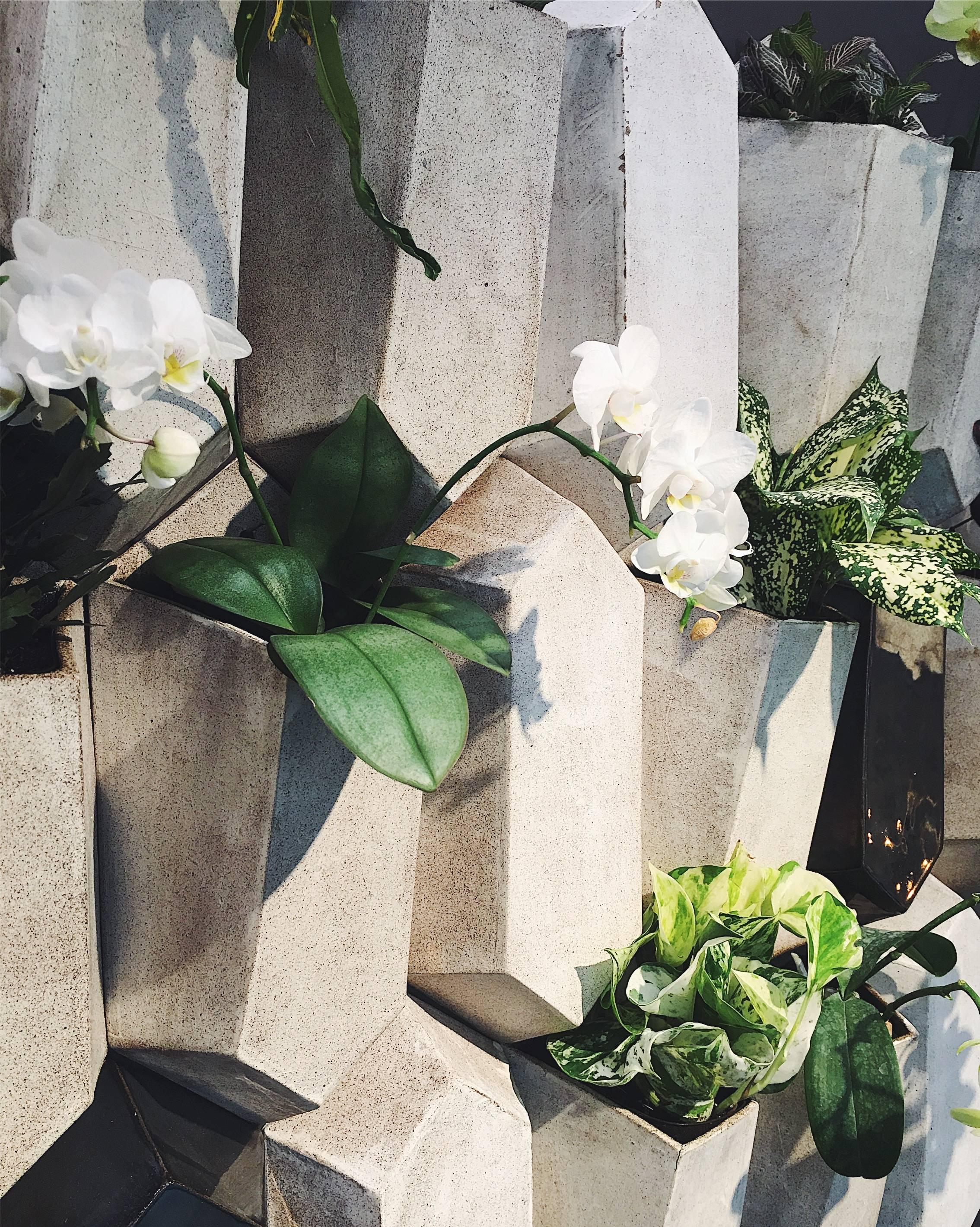 Faceted Modular Ceramic Living Wall Planters, Set of 14 Pieces For Sale ...