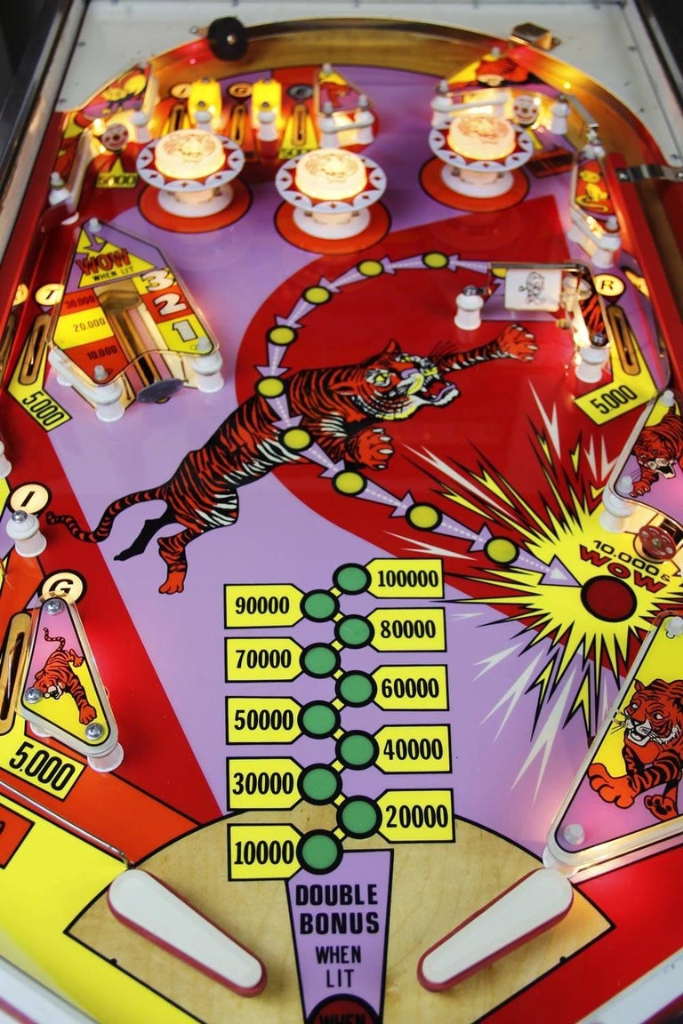 Gottlieb The Cirqus Tiger, Vintage Pinball Machine 1975, Fully Restored ...