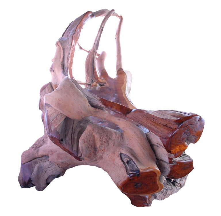 Teak Root Bench at 1stDibs | teak root bench for sale, teak root furniture