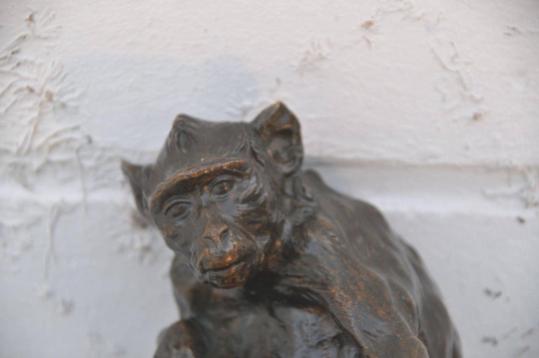 Maurice Roger Marx, Sitting Monkey, French School, circa 1920 For Sale ...