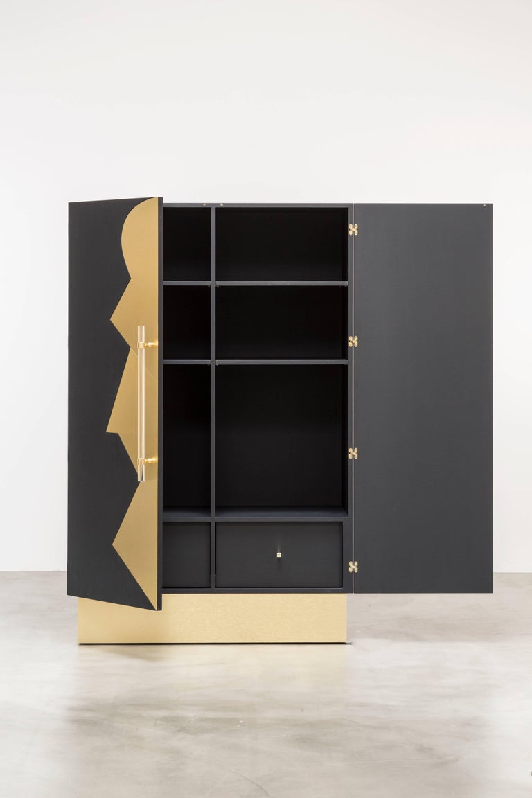 COCO CABINET - Modern Ebony Oak Cabinet with Brass Inlays and Acrylic ...