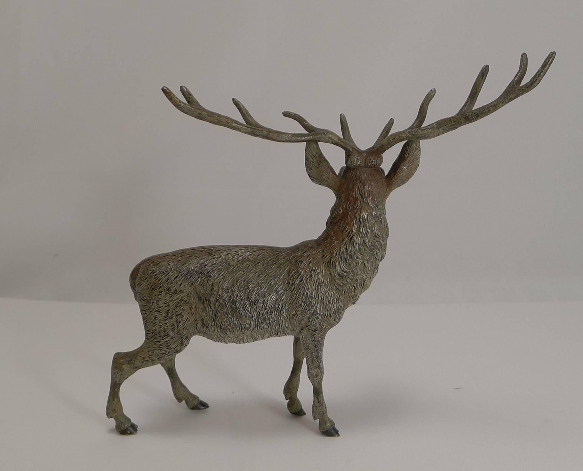 Large Antique Austrian Cold Painted Bronze Stag Figure c.1890 at ...