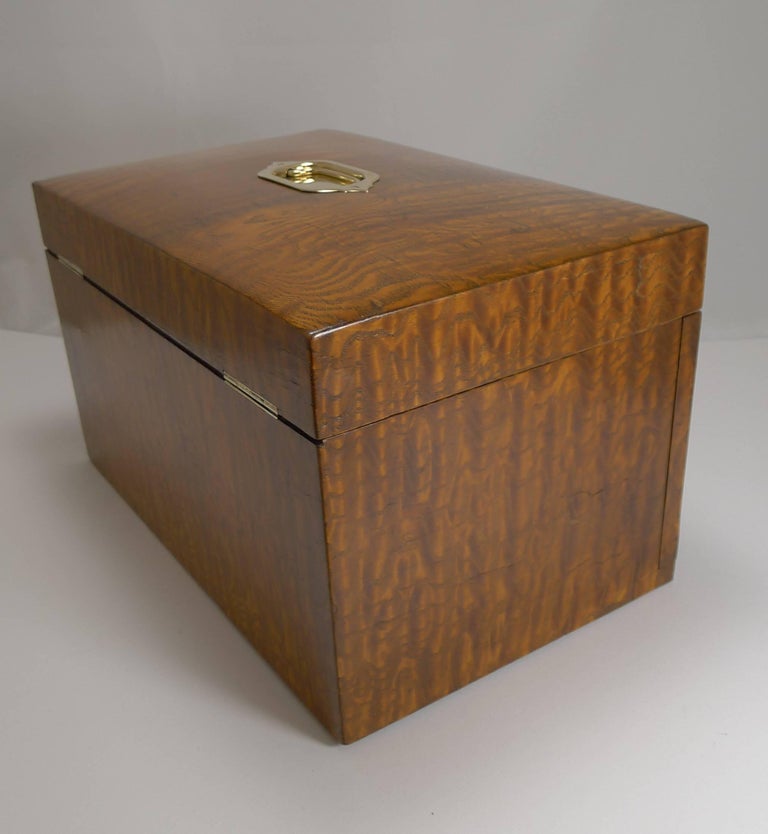 Grand Large Antique English Burr Ash Jewelry Box c.1890 at 1stDibs