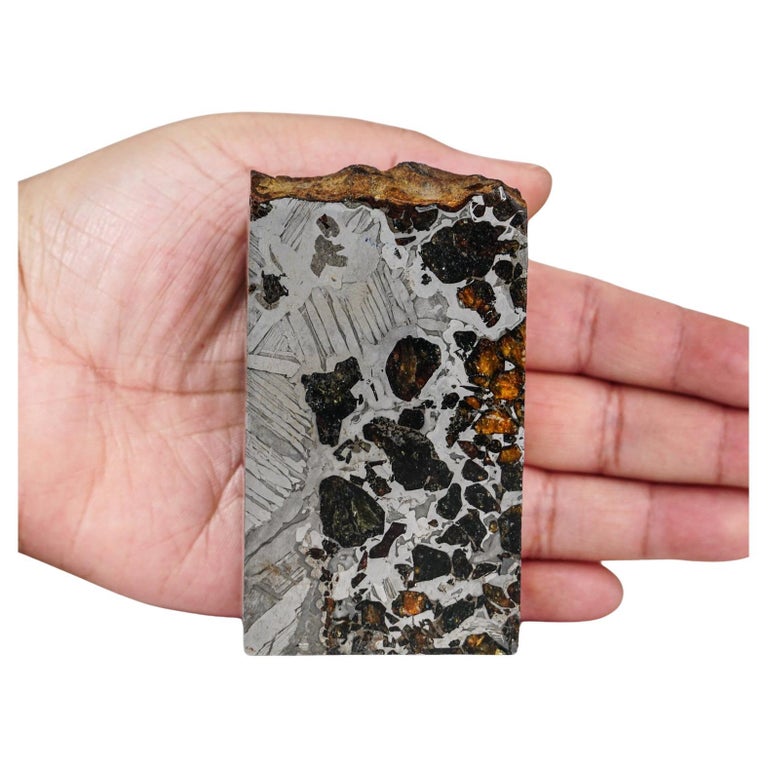 Genuine Seymchan Pallasite Meteorite For Sale at 1stDibs