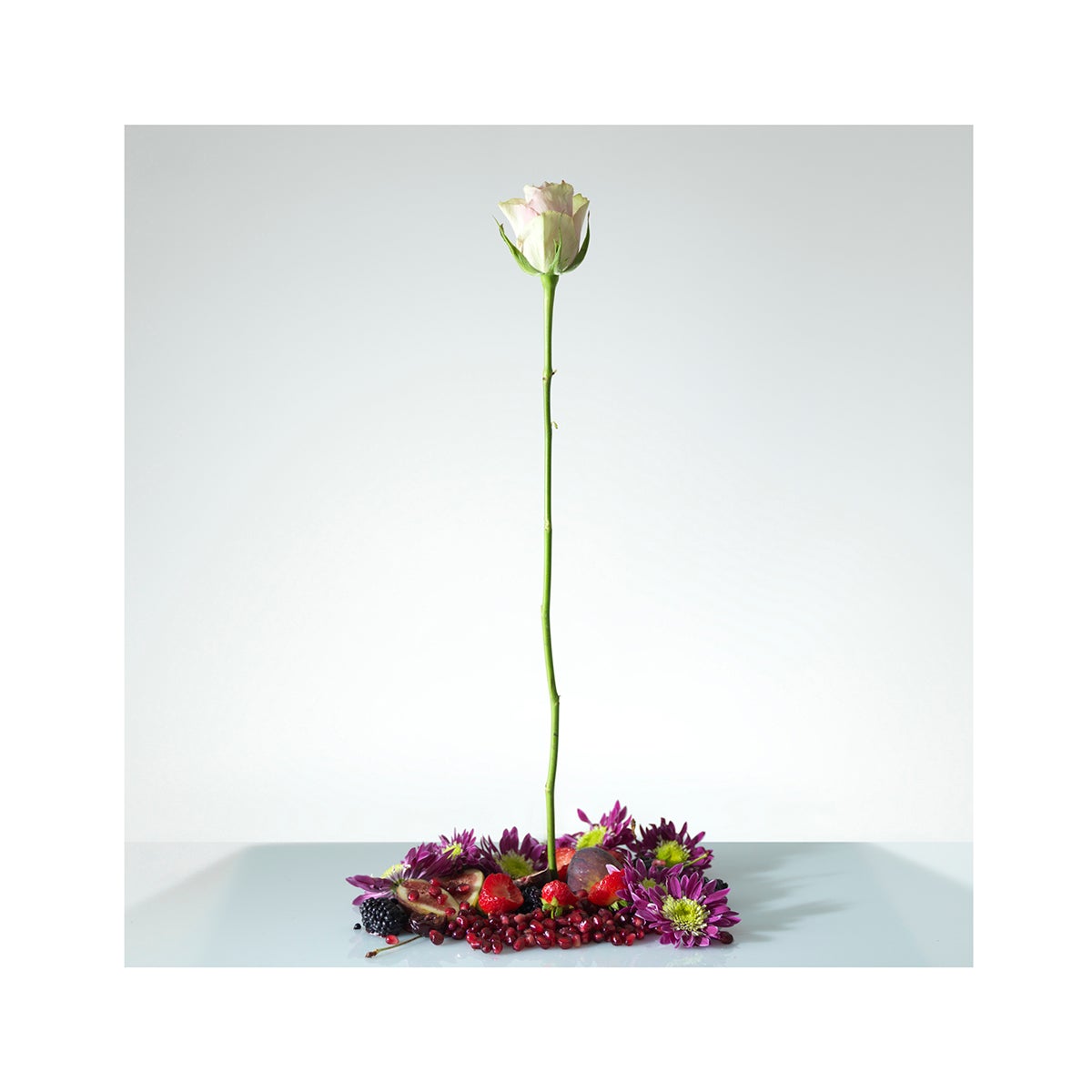 Deborah Barrett Collage For Sale at 1stDibs