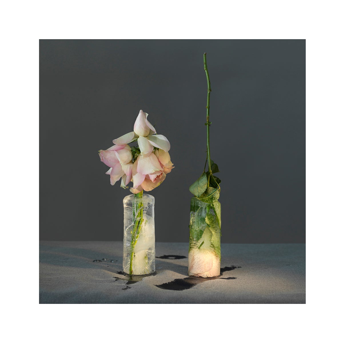 Deborah Barrett Collage For Sale at 1stDibs