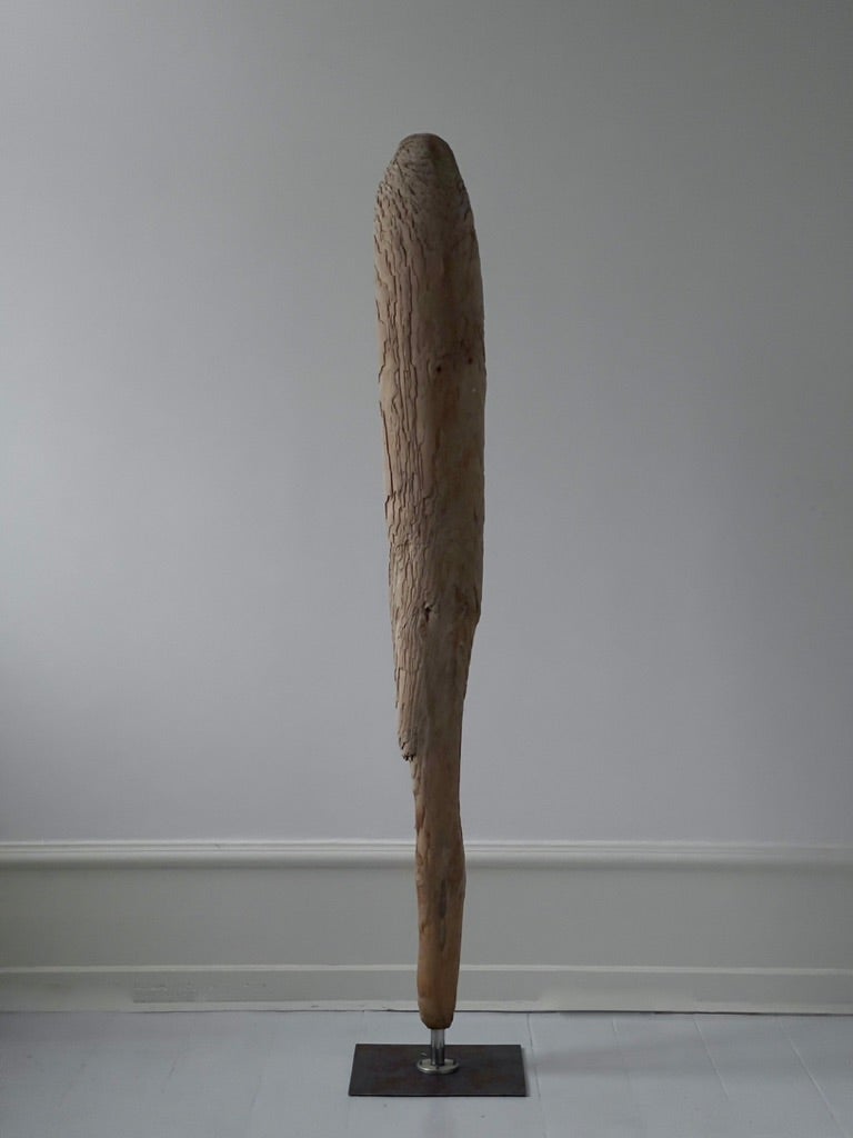 Contemporary Sculpture. Drift timber and metal stand. For Sale at 1stDibs