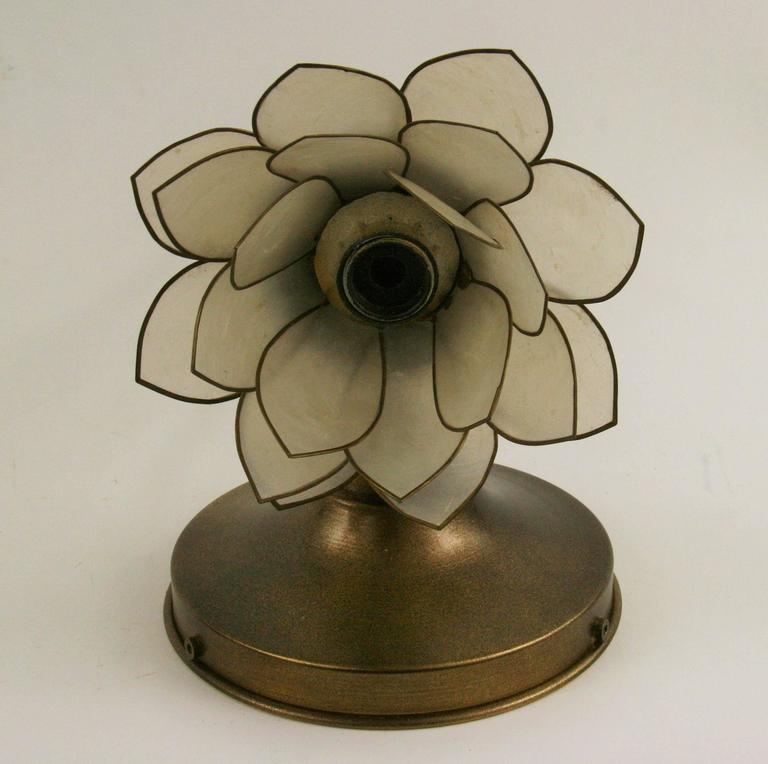 Pair of Mid Century Capiz Shell Sconces at 1stDibs