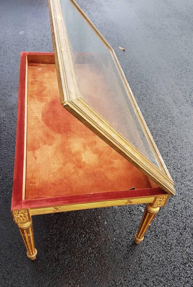 Gilt Display Coffee Table at 1stDibs