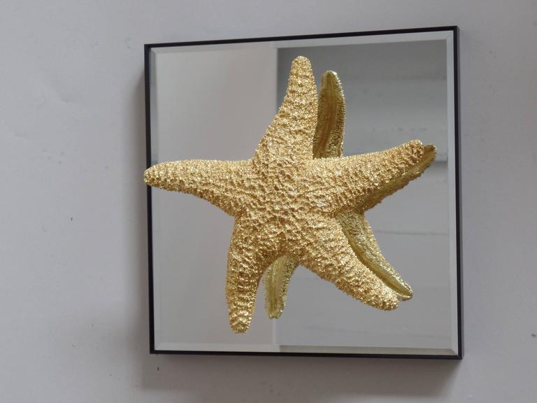 24 Starfish and Mirror Wall Decorations For Sale at 1stDibs