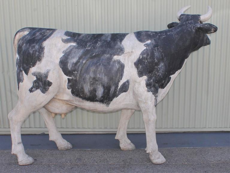 Monumental Full Body Dairy Farm Cow Trade Sign at 1stDibs