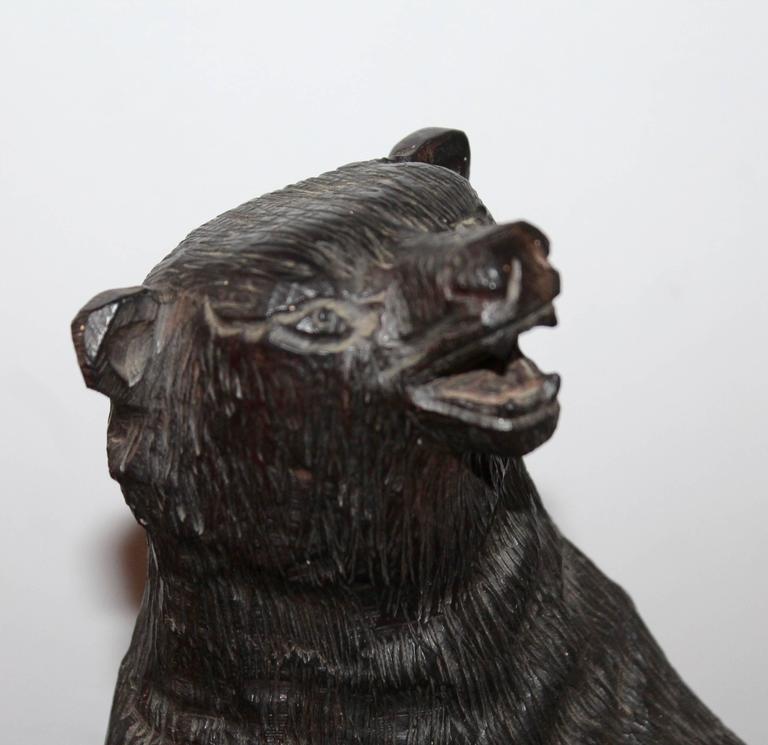 Hand-Carved American Black Bear at 1stDibs