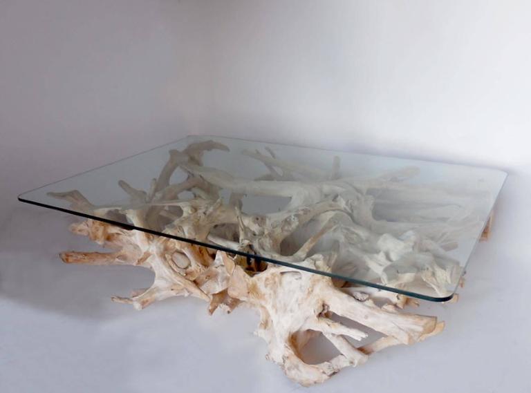 Sculptural Teak Root Coffee Table with Glass Top at 1stDibs | root ...