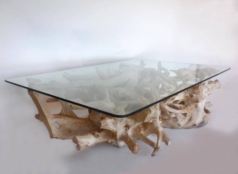 Sculptural Teak Root Coffee Table with Glass Top at 1stDibs | root ...