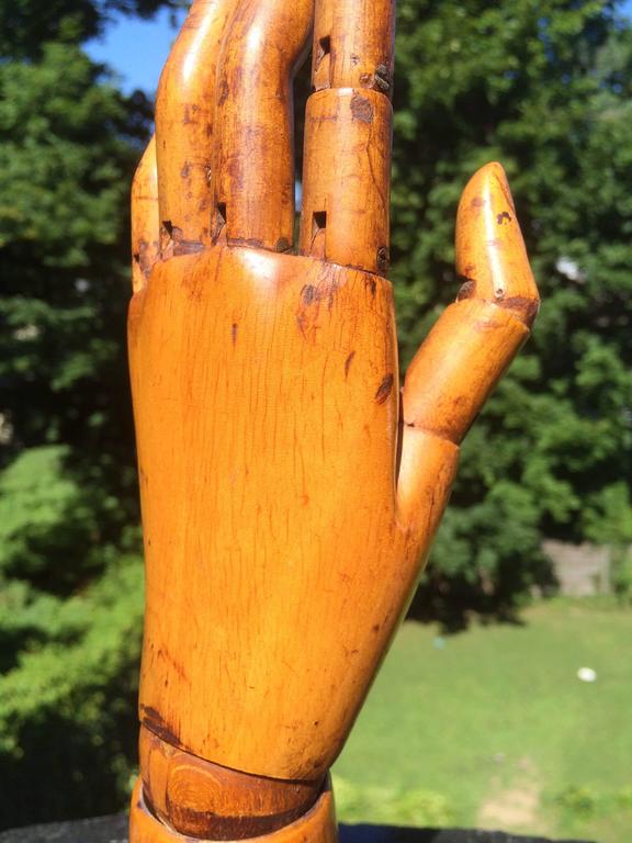 Articulated Mannequin Hand, Life-Size at 1stDibs