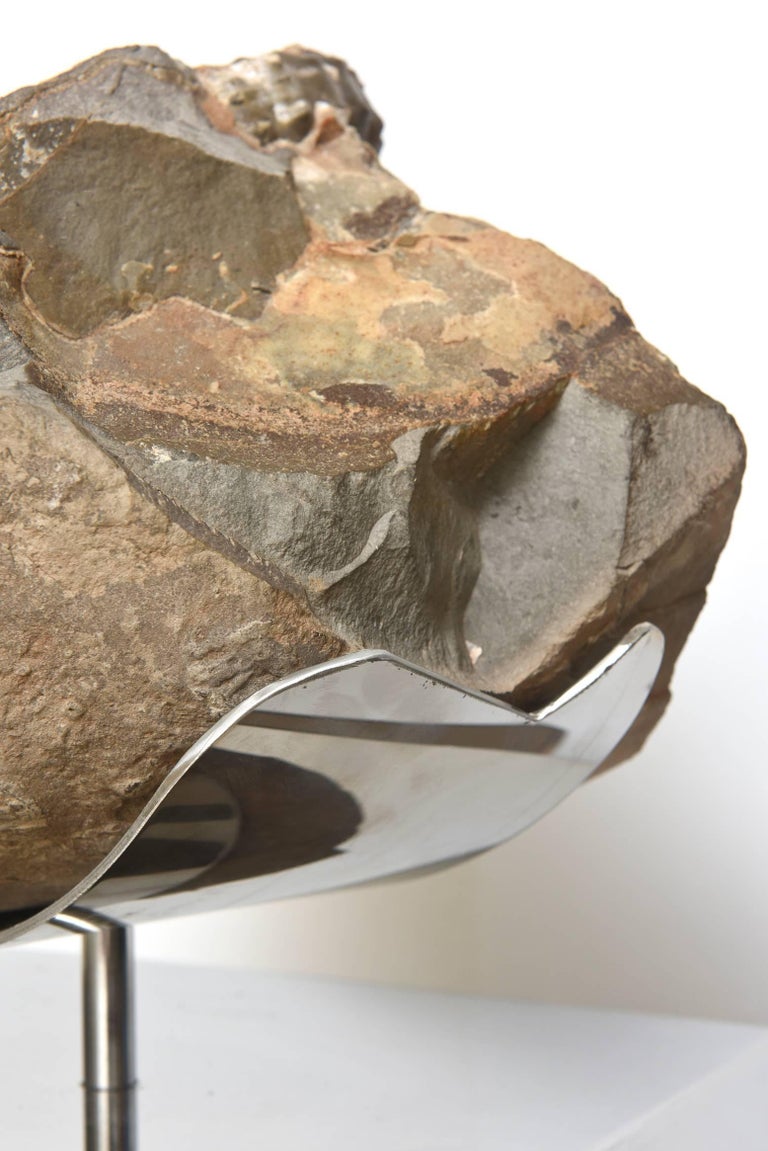 Organic Modern Petrified Wood/ Fossil and Stainless Steel Mounted ...