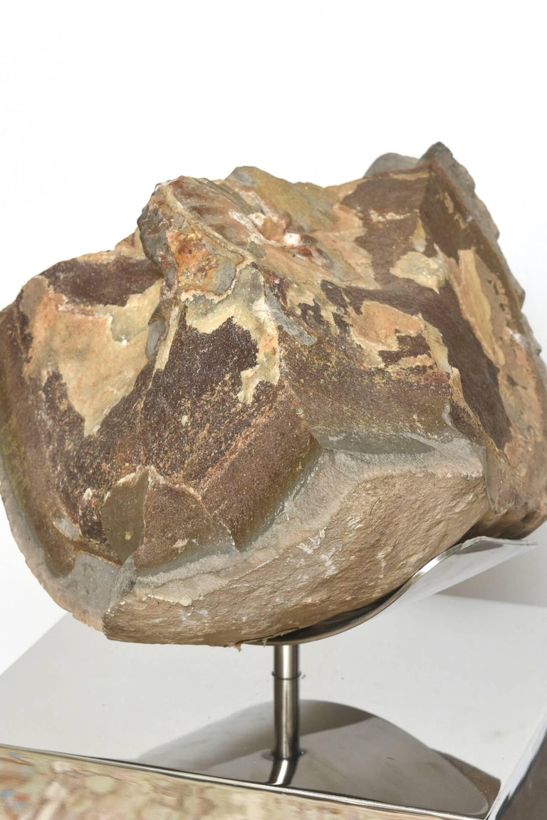Organic Modern Petrified Wood/ Fossil and Stainless Steel Mounted ...