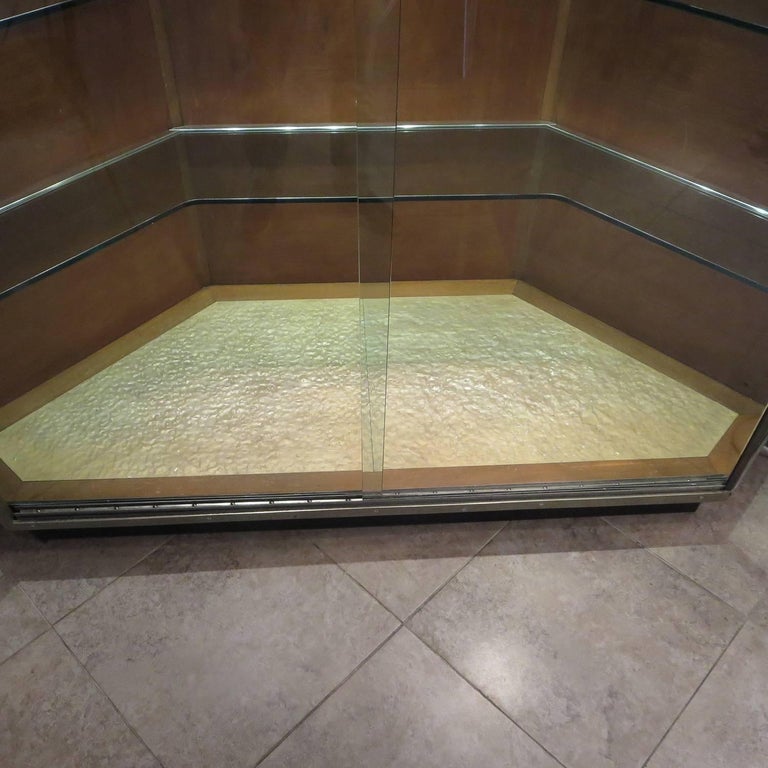 Art Deco Lalique Glass Showcase for Los Angeles Oviatt Building, 1928 ...