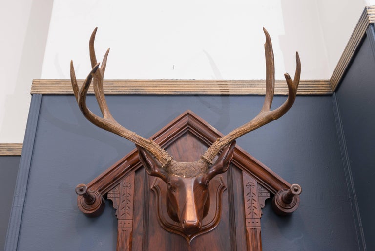 Black Forest Folk Art Deer Head Coat Rack at 1stDibs | deer coat rack