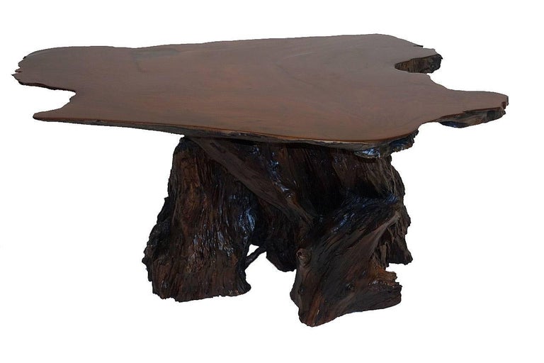Mid-Century Modern Root Wood Coffee Table at 1stdibs