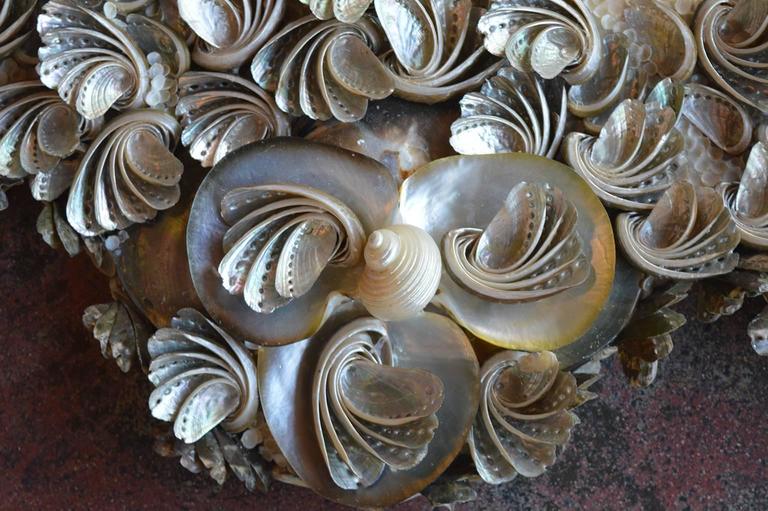 Sea Shell Mirror at 1stDibs | shell mirrors for sale
