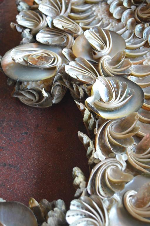 Sea Shell Mirror at 1stDibs | shell mirrors for sale