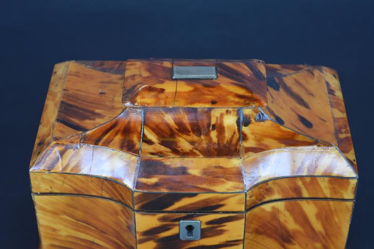 Collection of Six 19th Century Tortoise Shell Boxes at 1stDibs