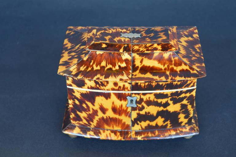 Collection of Six 19th Century Tortoise Shell Boxes at 1stDibs