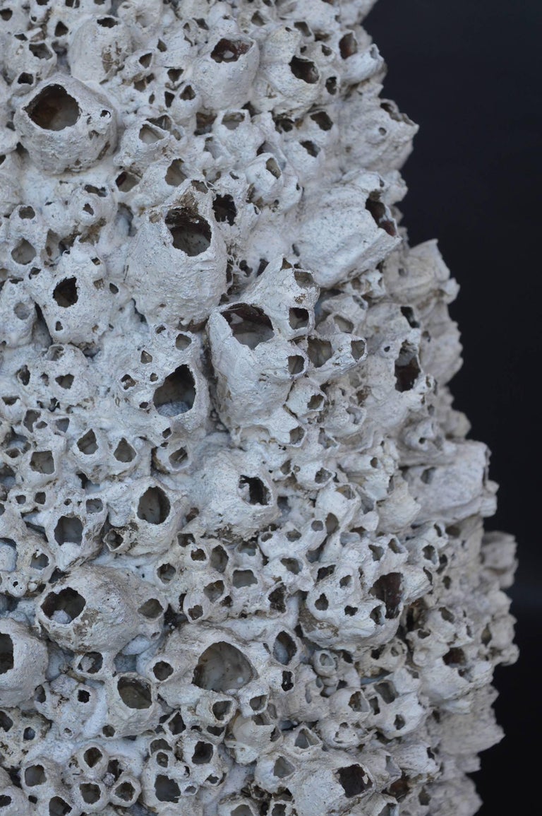 Pair of Coral Vases For Sale at 1stDibs